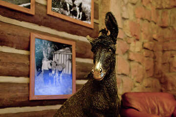 National Park Service shares fate of Grand Canyon's most famous statue