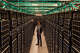 UT Austin buys 4,000 Nvidia GPUs for Horizon supercomputer