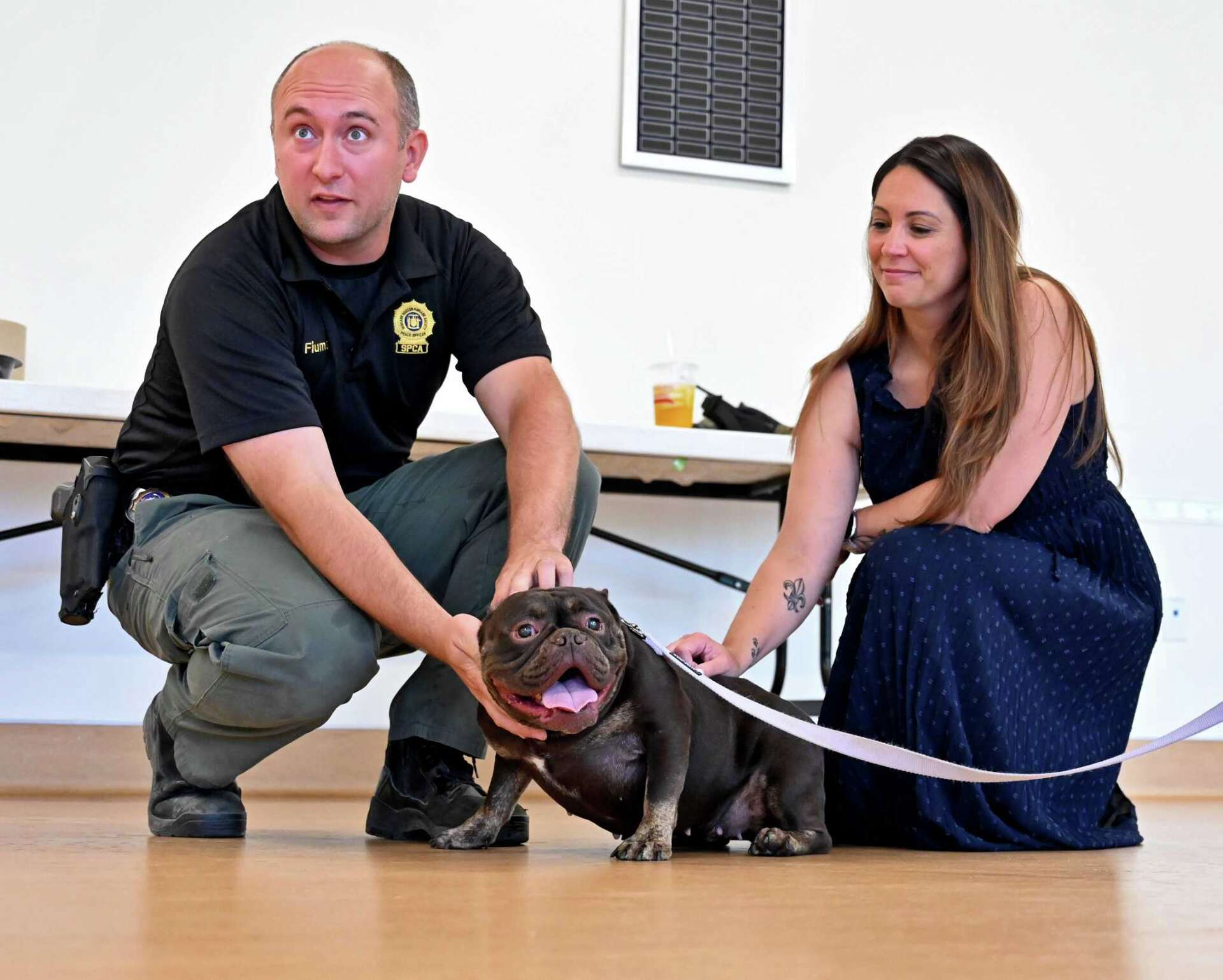 Lavender the dog makes 'tremendous transformation'