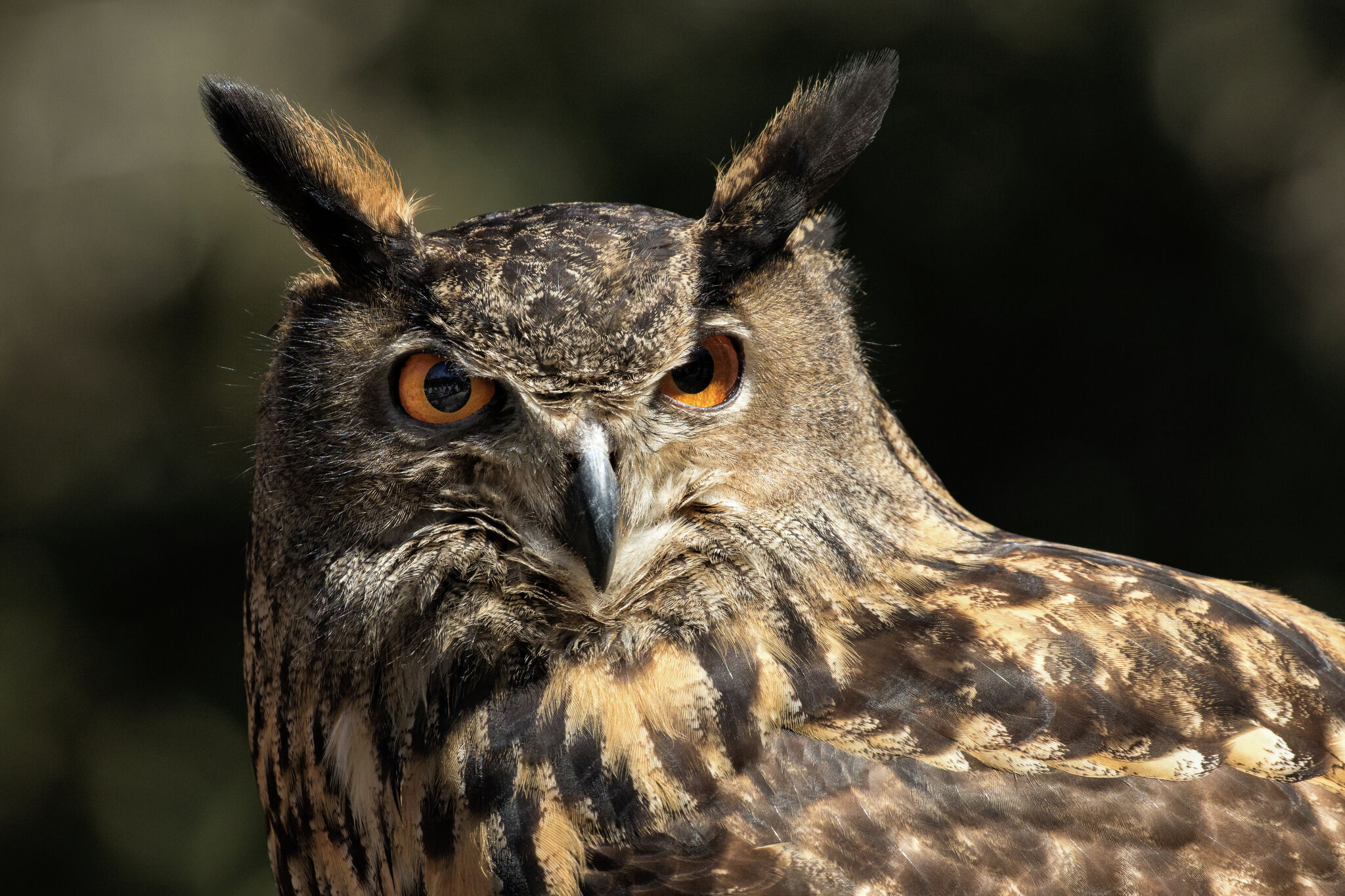 Mark H.X. Glenshaw presenting at Jacksonville Public Library