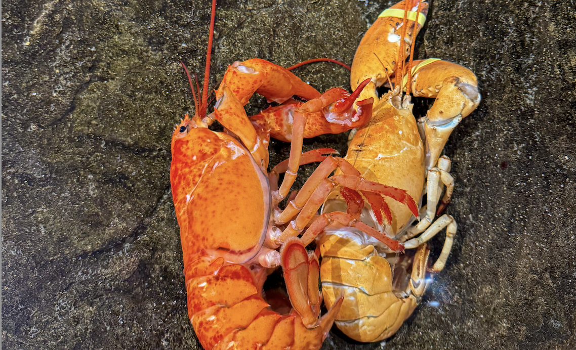 Winning numbers drawn in Thursday’s Virginia Pick 5 Evening