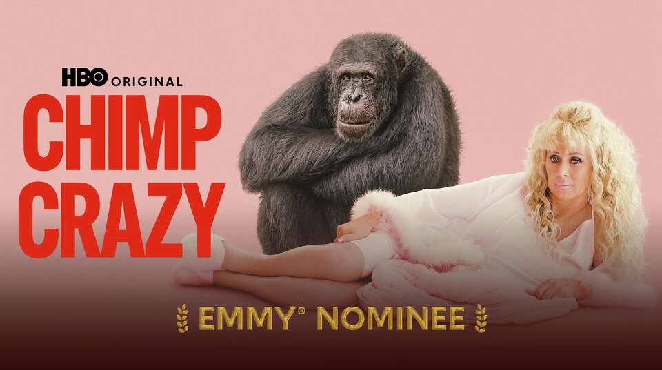 Tonia Haddix jailed for hiding chimp, violating bond in PETA case