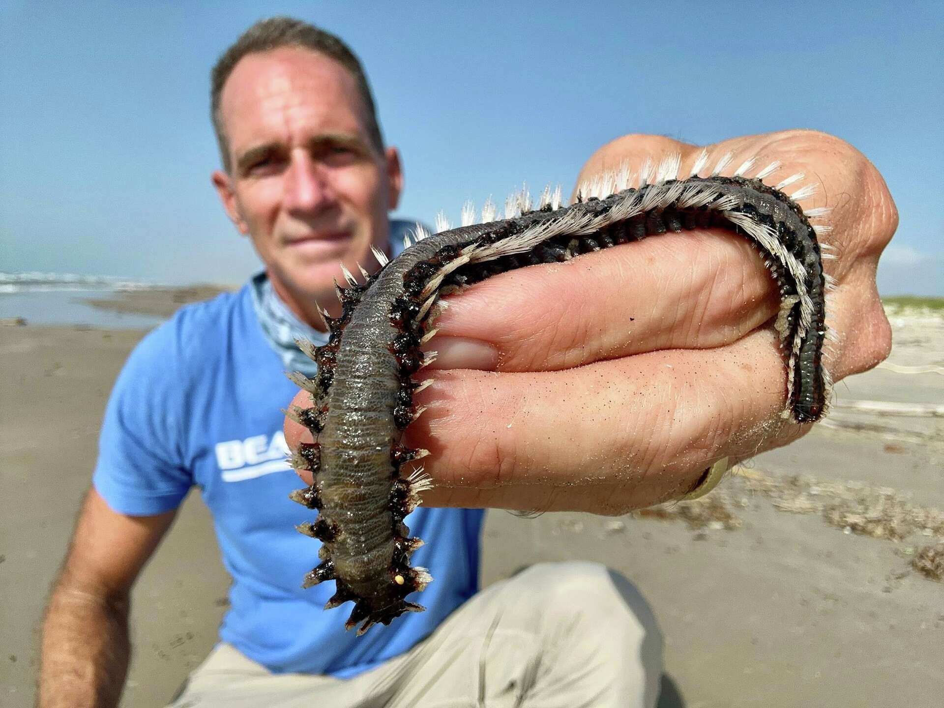 Painful fireworms are washing up on Texas beaches