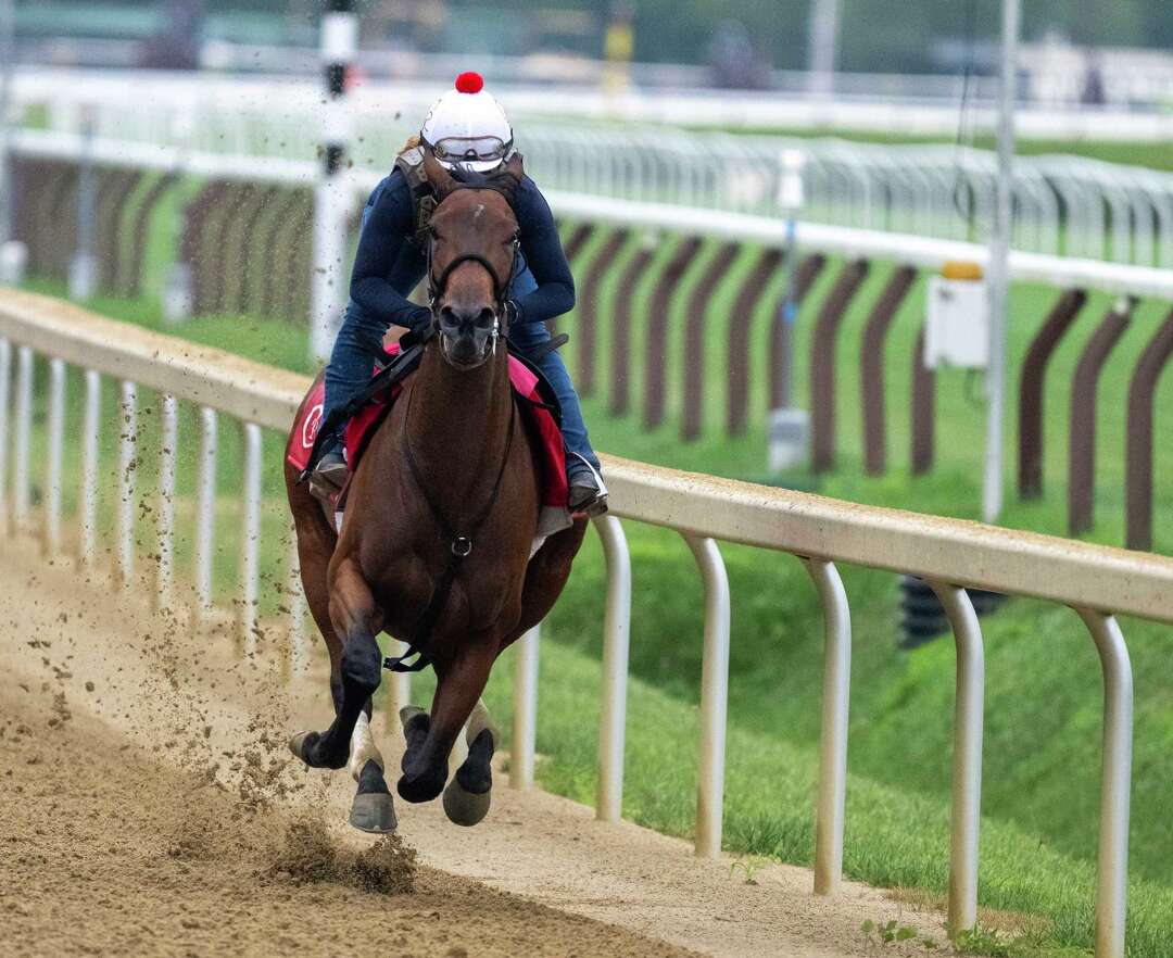 Good Cheer, La Cara headline Alabama Stakes at Saratoga track