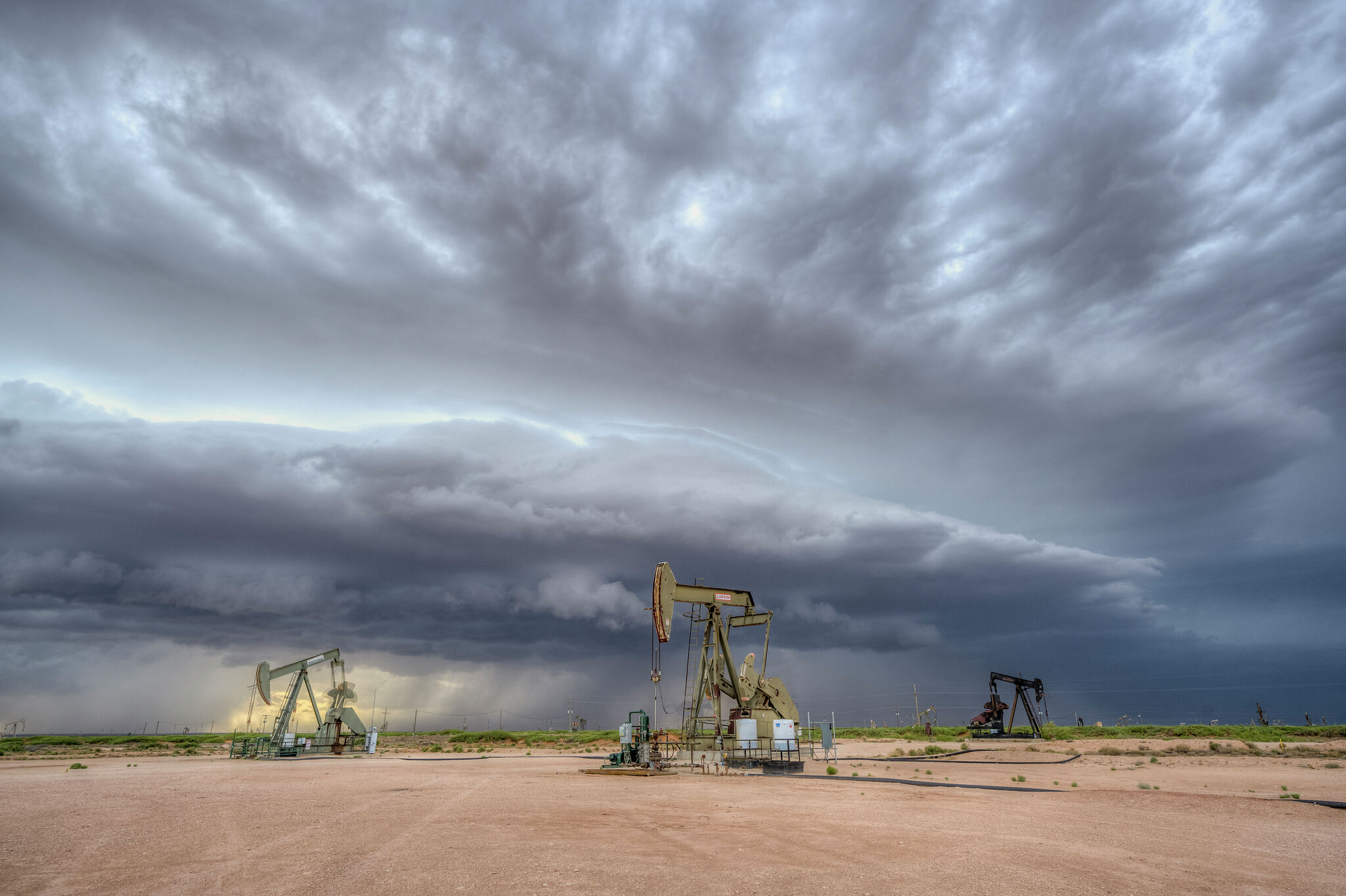 Fat Squirrel Week Texas winner crowned Chunkosaurus Rex