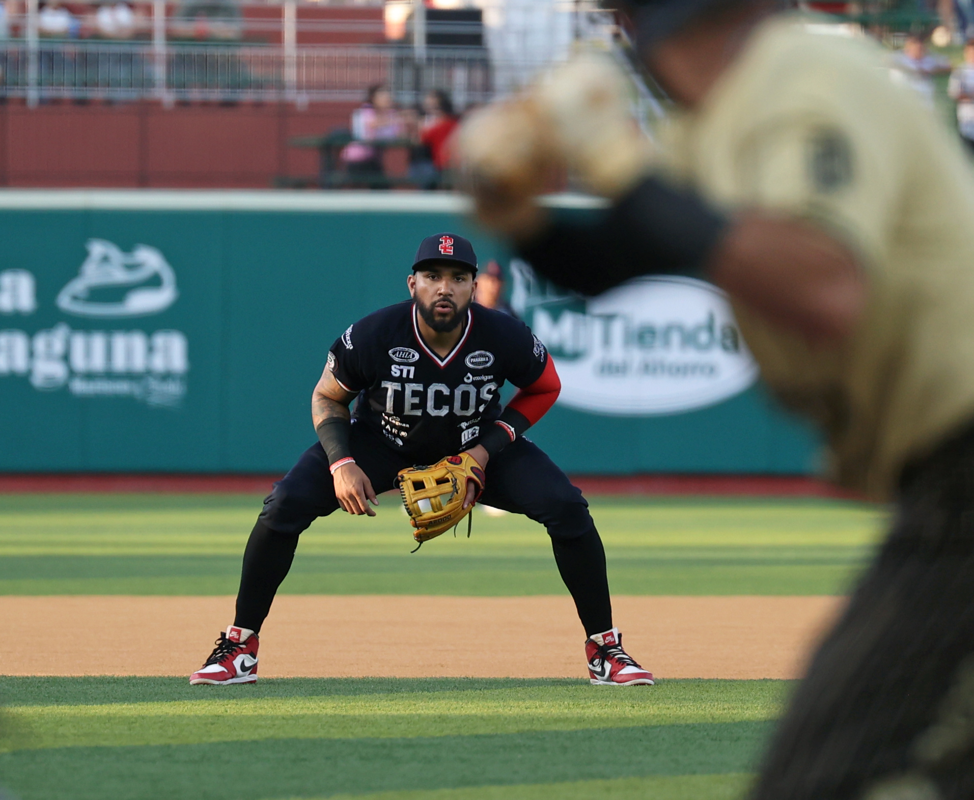Tecos barely in Mexican Baseball League playoff picture
