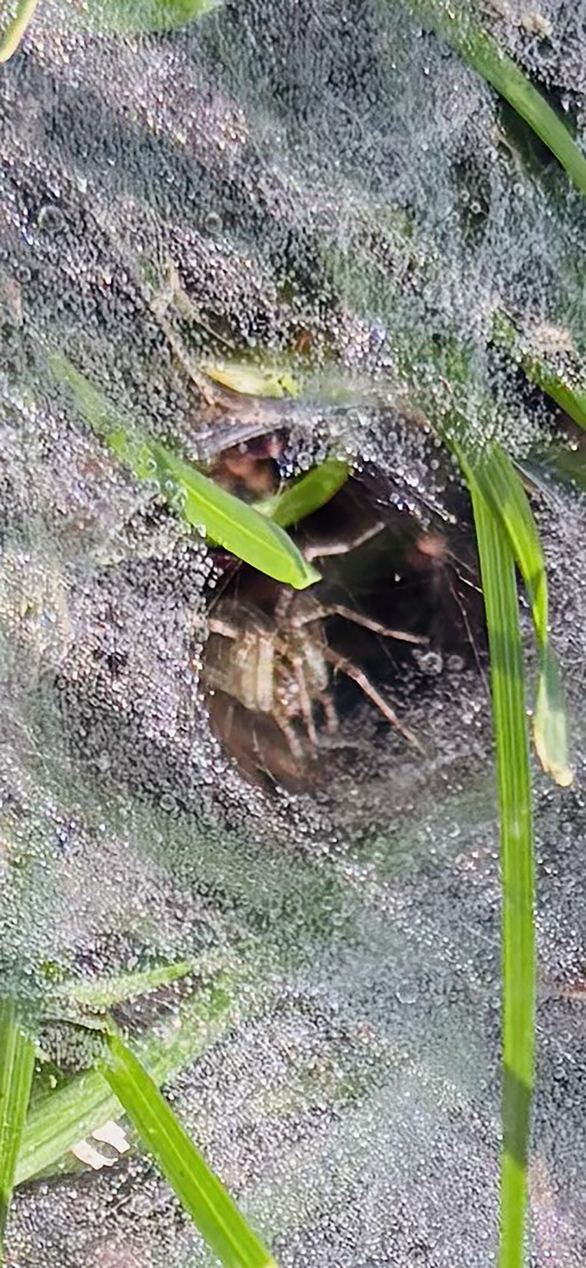 Reader photo: Web master