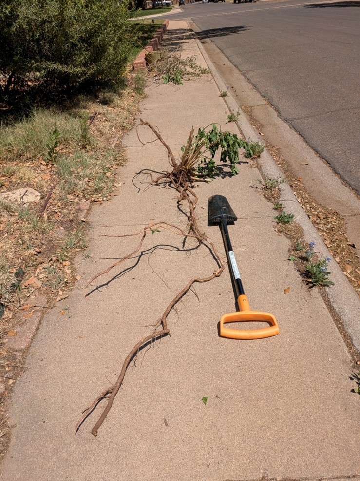 Targa gas plant explosion caused by leak, residents can now return