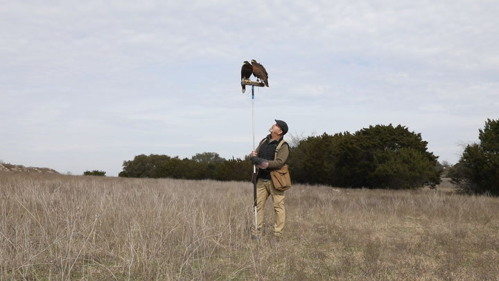 Inside the high-flying world of falconry in Texas