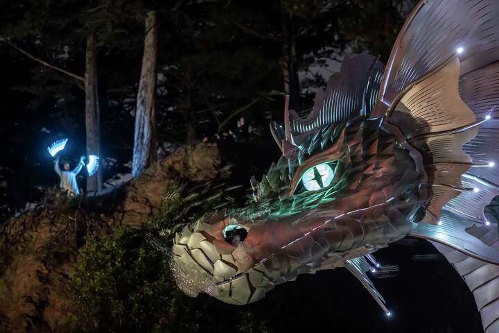 Sea serpent sculpture lights up Golden Gate Park in ‘magical’ debut