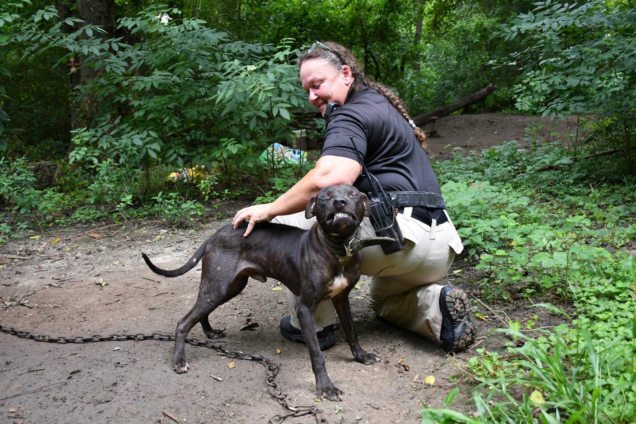 Beaumont Animal Care seizes 10 dogs from suspected dogfighting ring