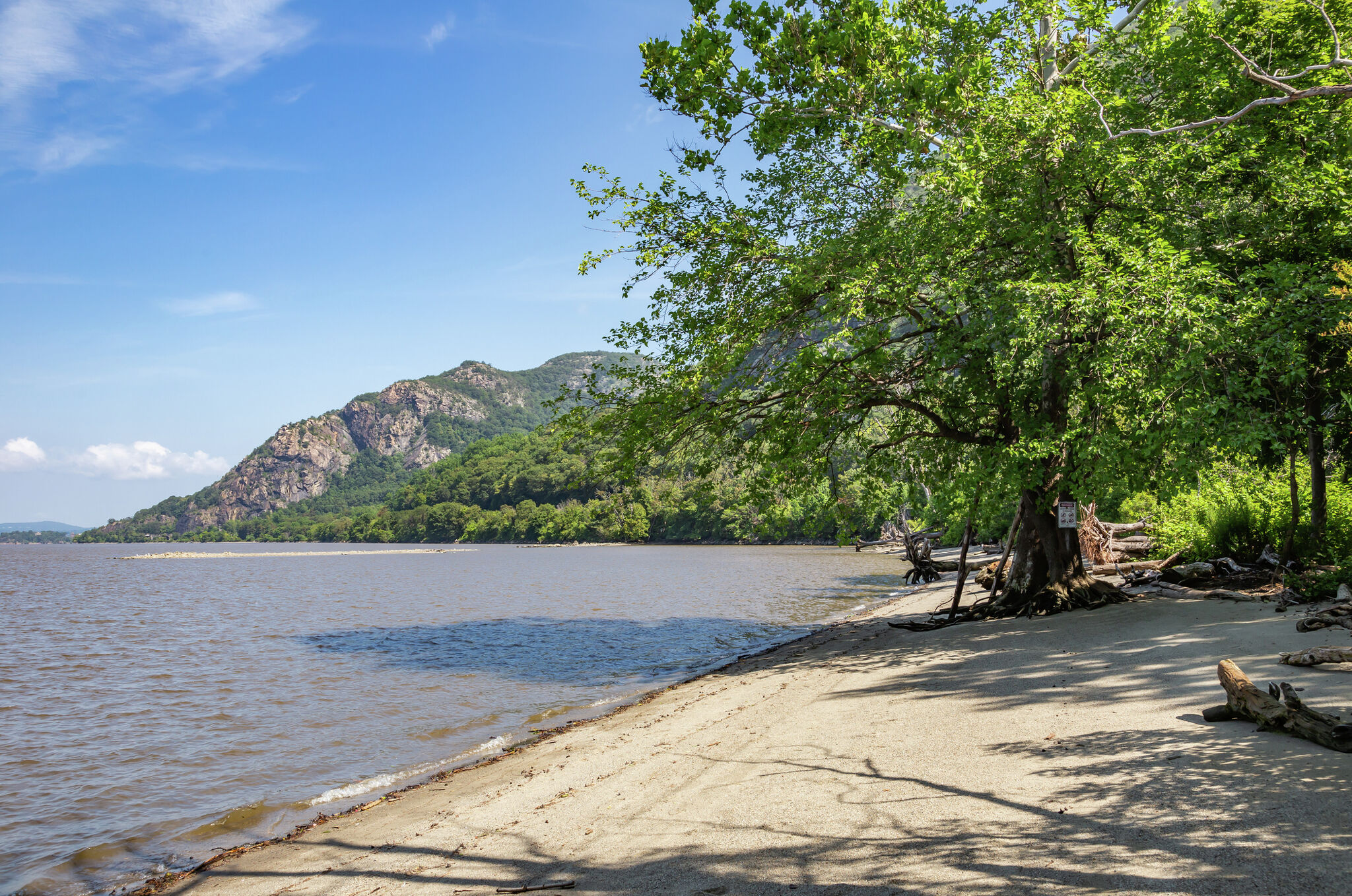 Arena Football One expanding to Ohio, Michigan in 2026