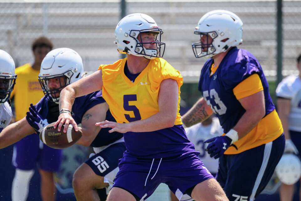 UAlbany Great Danes