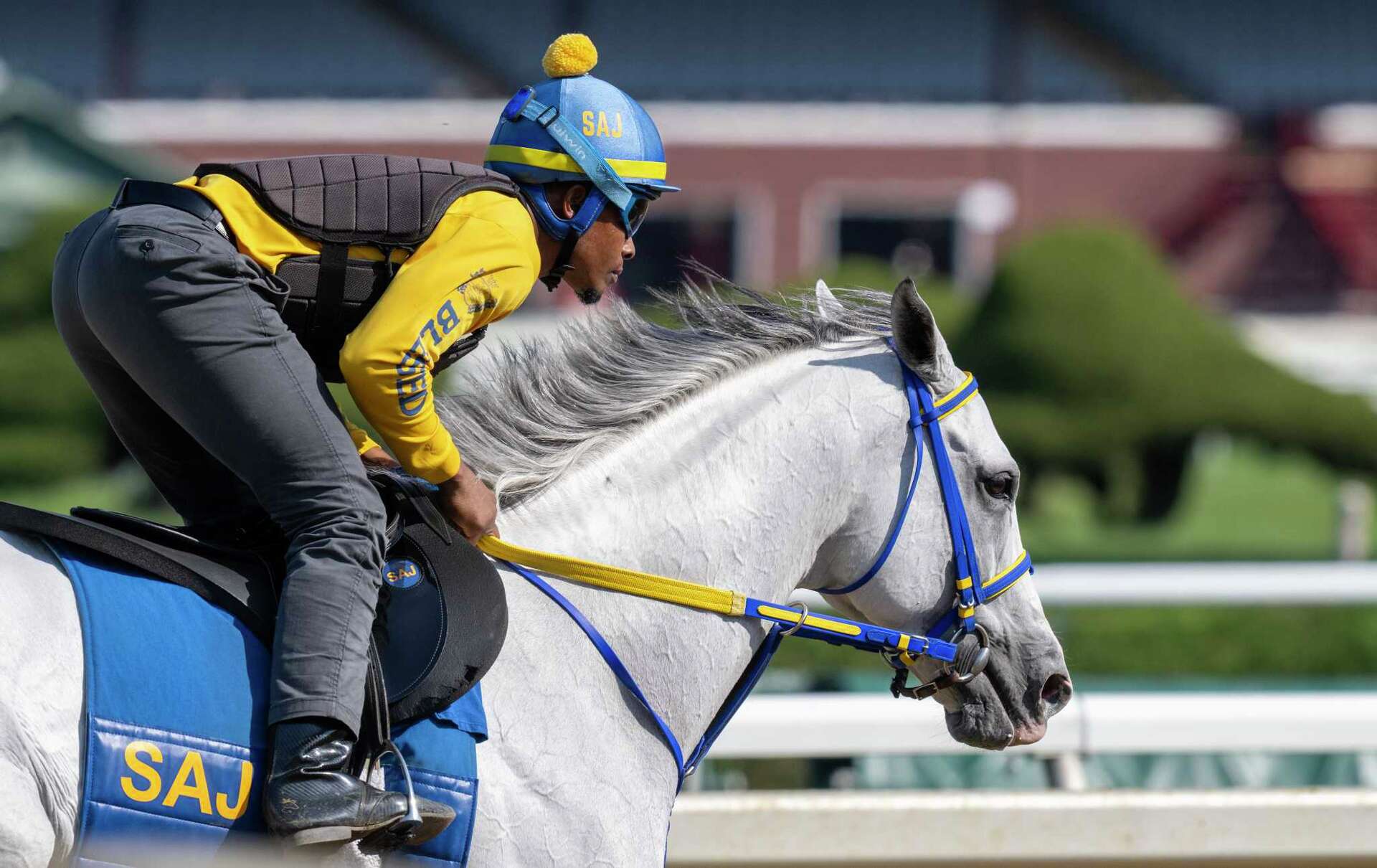 Sierra Leone, Mindframe meet in Jockey Club Gold Cup at Saratoga track
