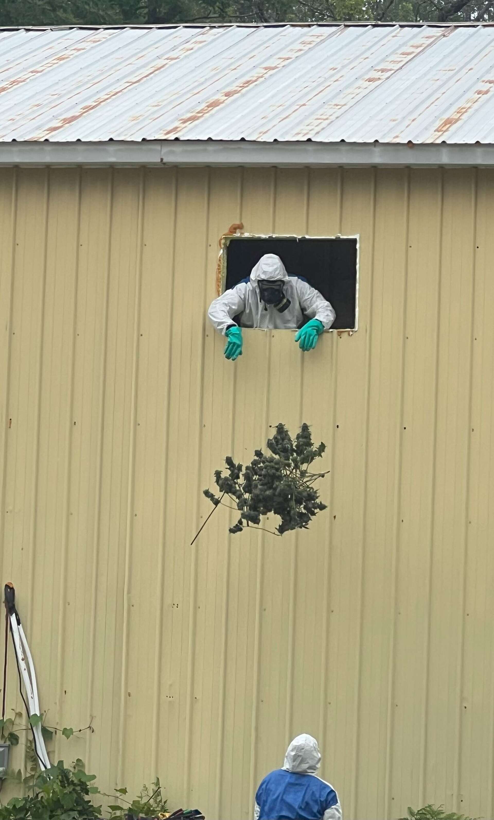 Police seize $10M in illegal marijuana from Lake County grow
