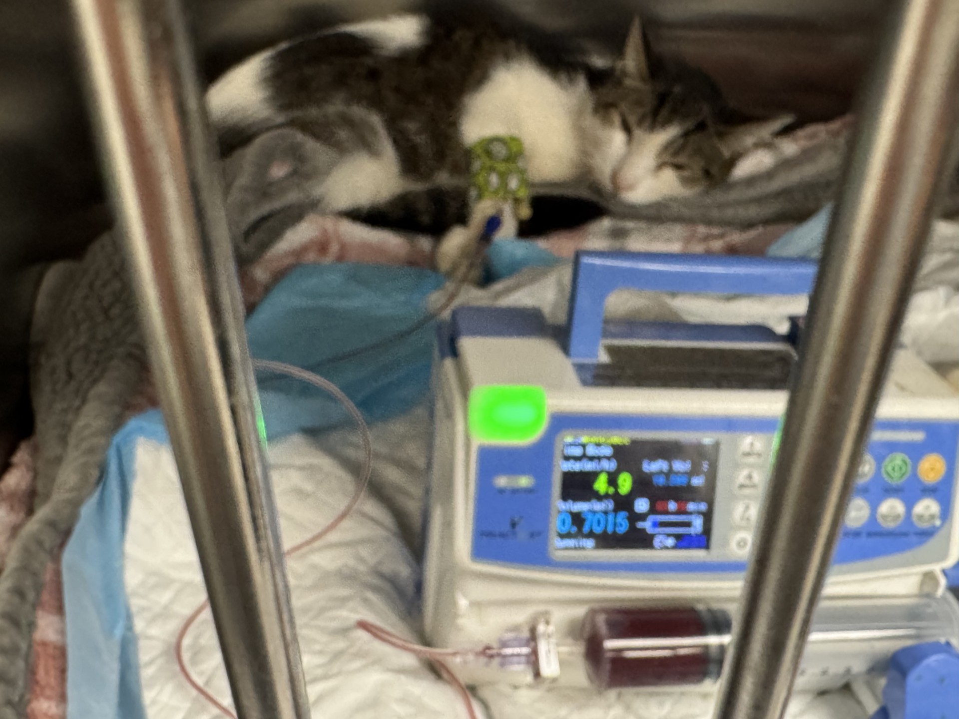 Broussard’s Mortuary welcomes fifth-generation family leaders