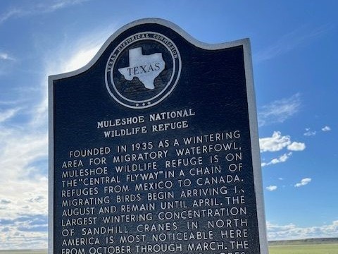 Midland Target start 19,000 sq ft expansion renovation