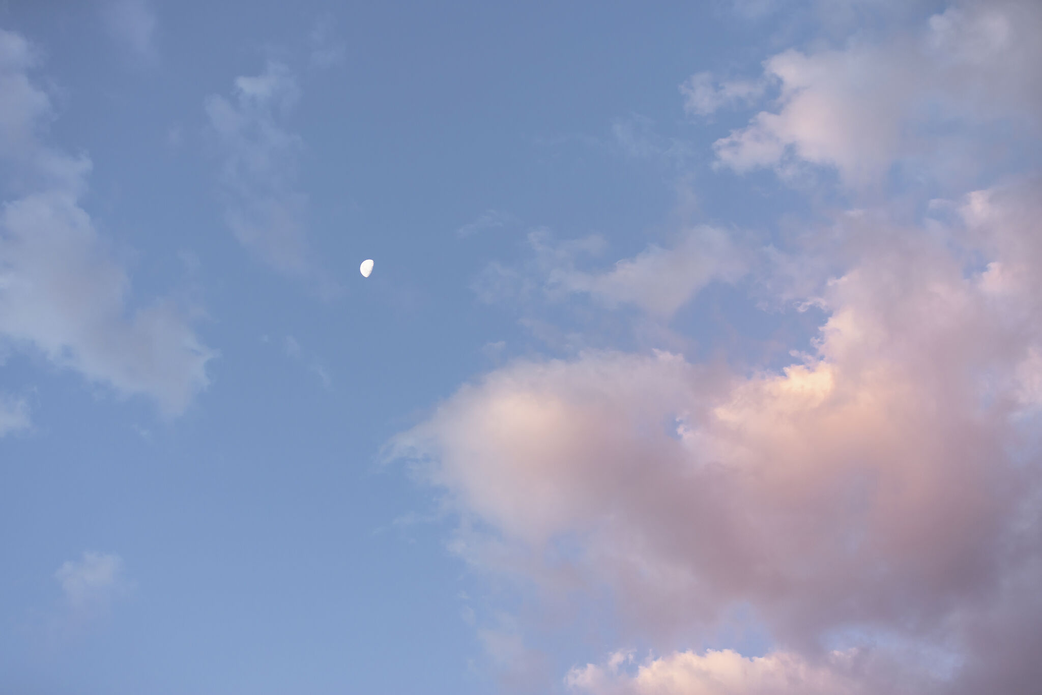 CT's new speakeasy The 196 Club opens inside Emrey's Soda Shop