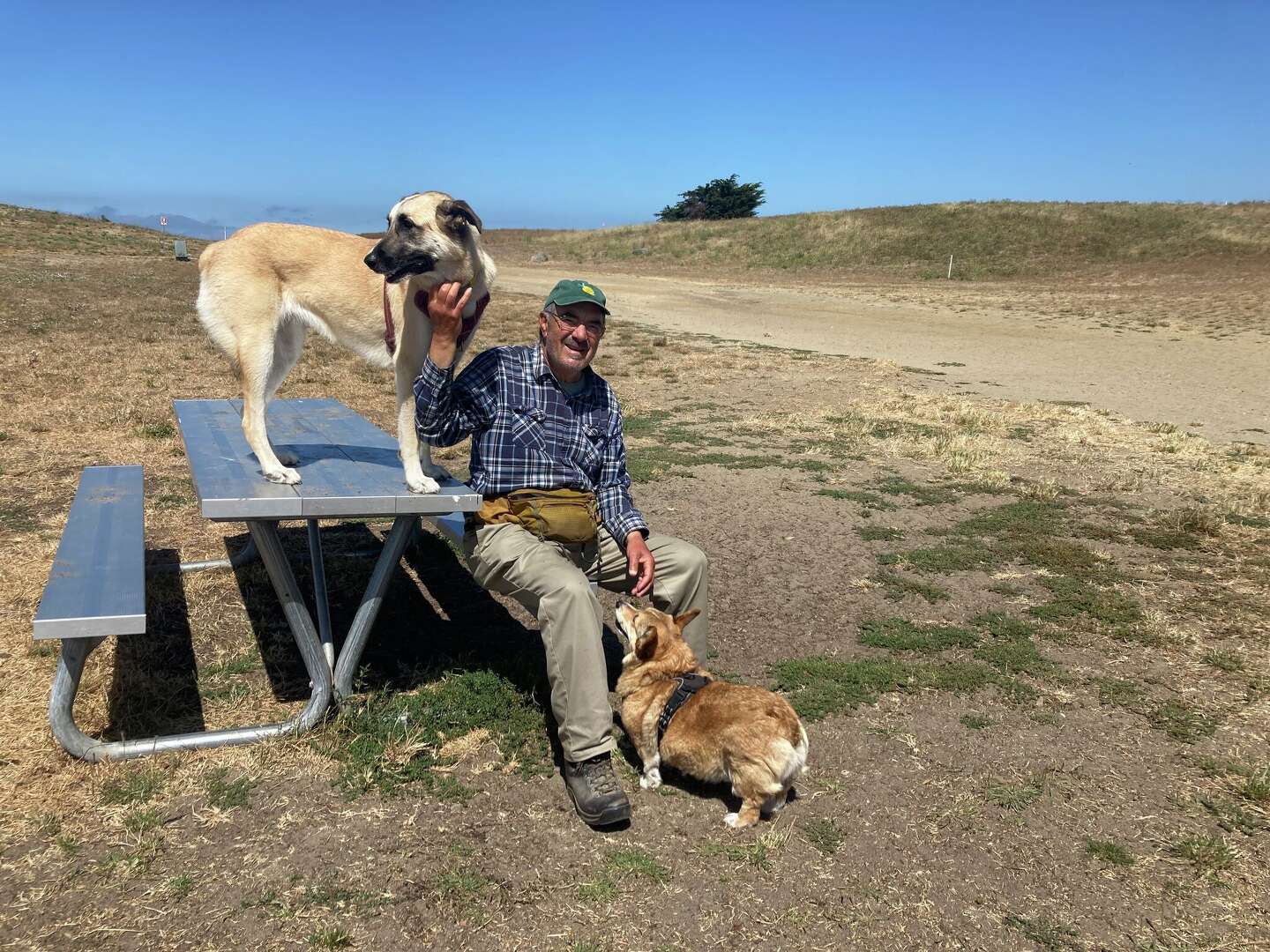 Berkeley says dogs shouldn’t dig in popular park atop landfill
