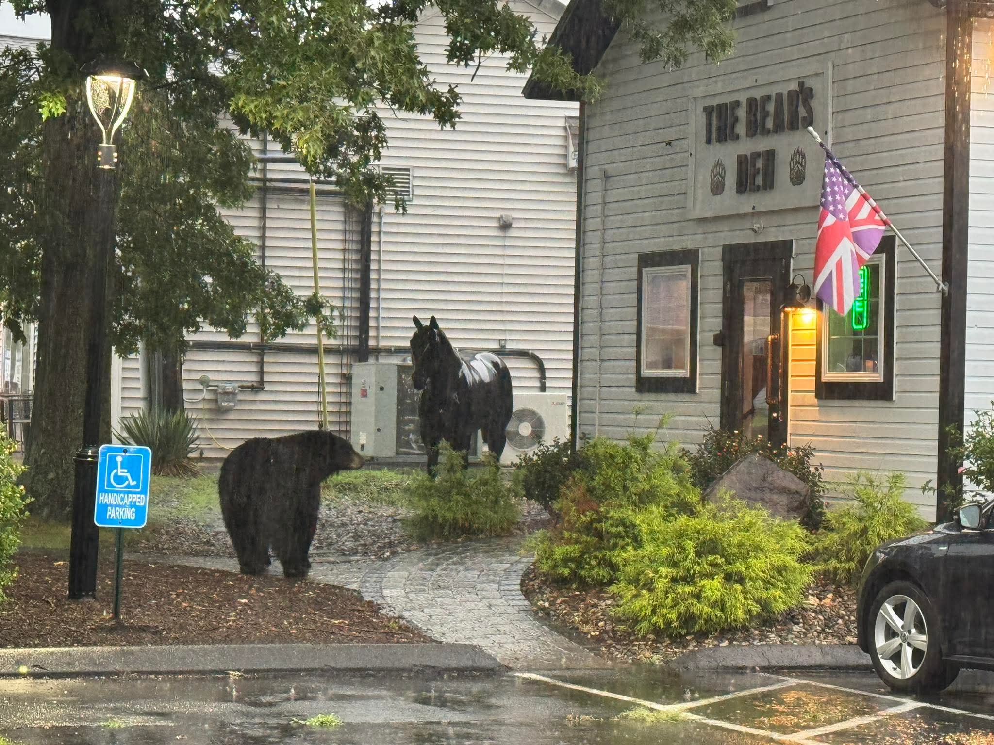 An actual bear visited The Bear's Den restaurant in Connecticut