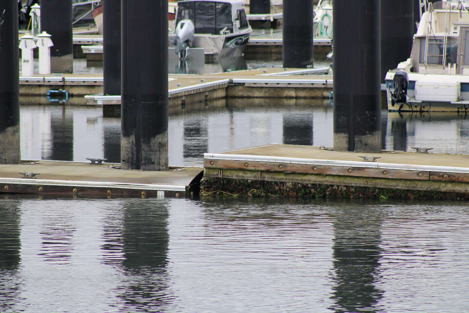 California harbor suffers close to $1M in damage from tsunami waves