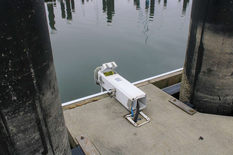 California harbor suffers close to $1M in damage from tsunami waves