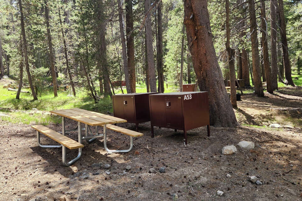 Yosemite National Park's Tuolumne Meadows Campground reopens