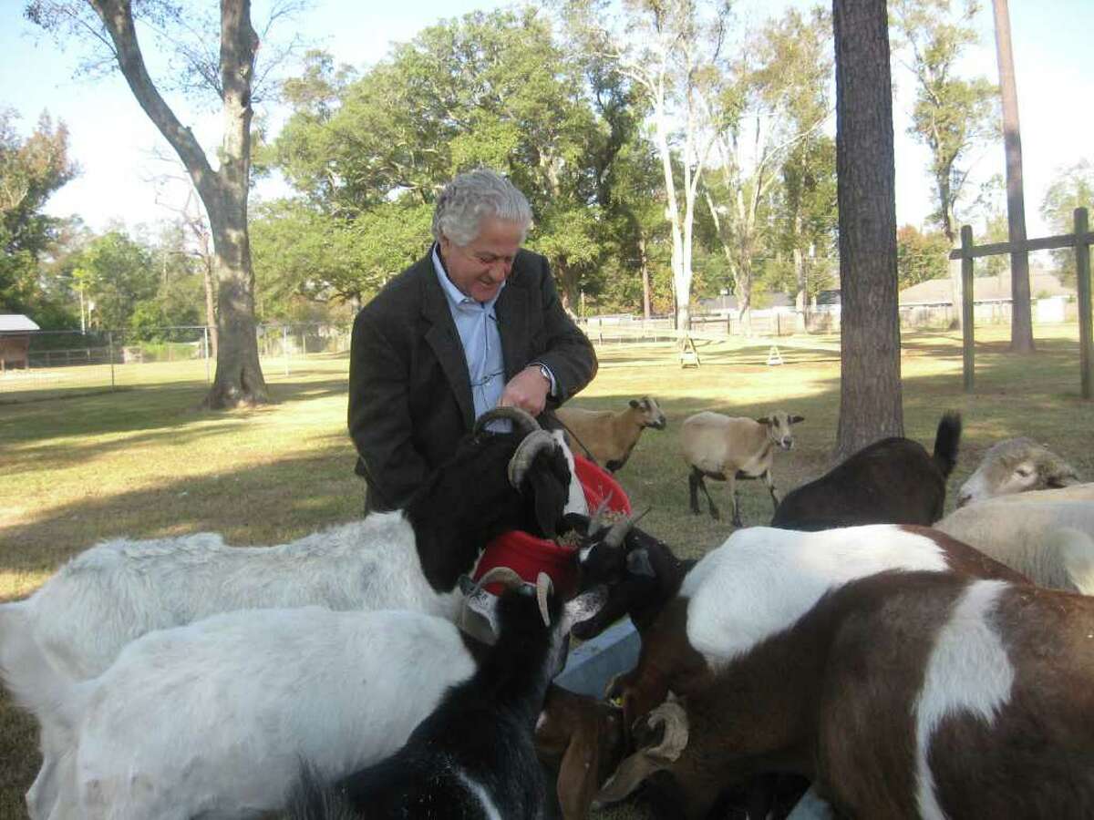 Goats go upscale on boulevard farm