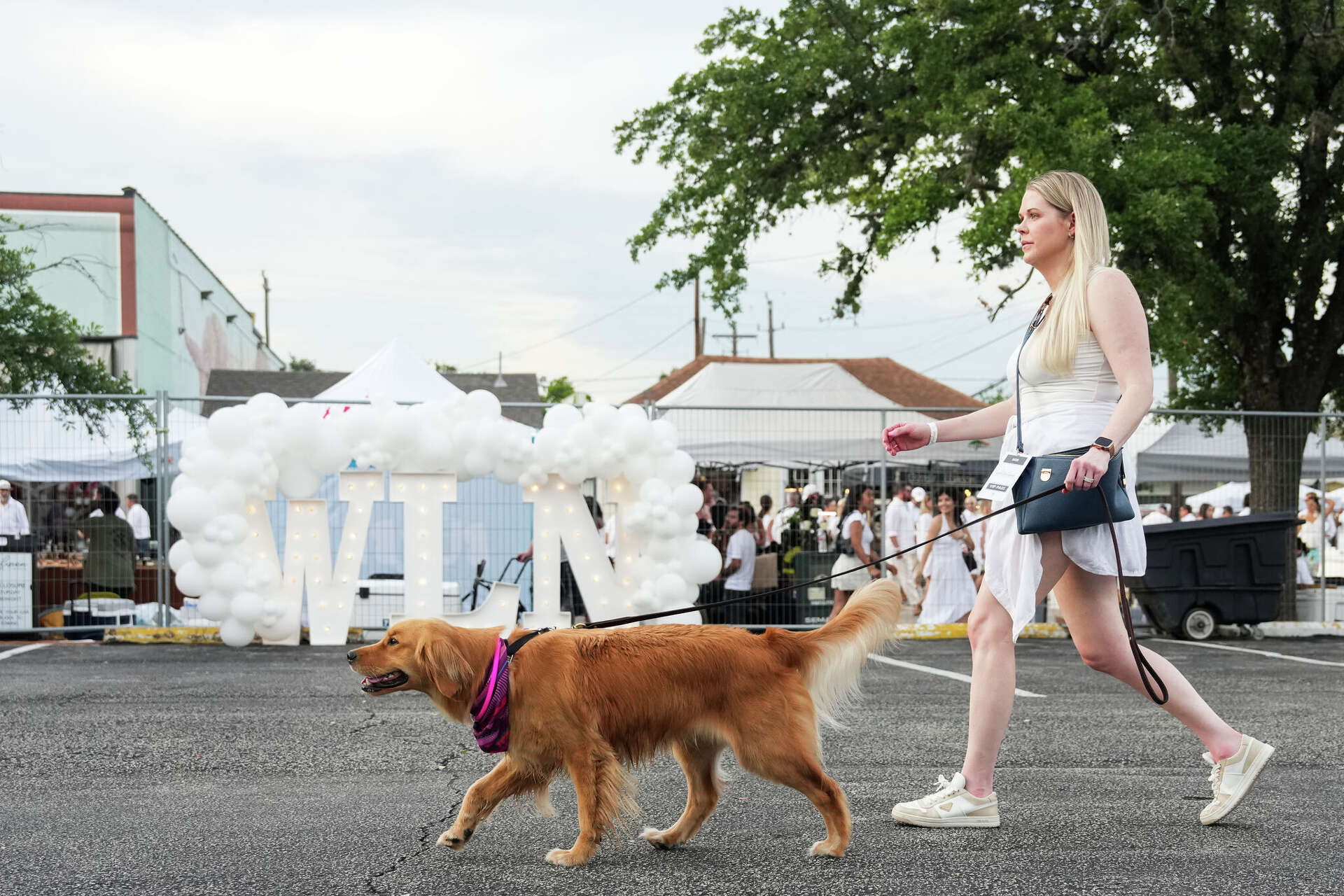 White Linen Night 2025: Heights event drew more than 14,500 people