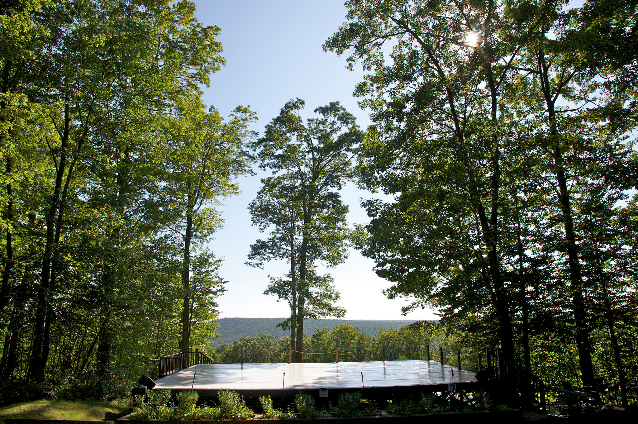 Best horse names of Saratoga's 4th of July Racing Festival