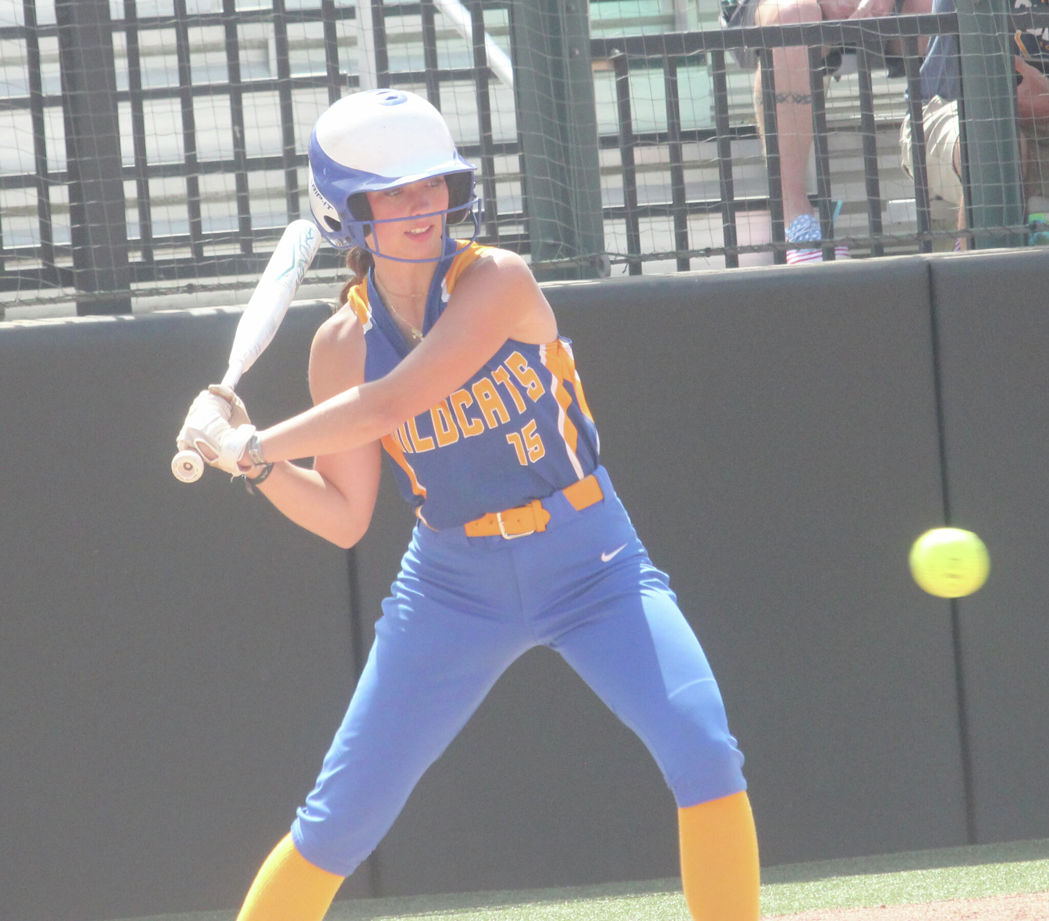 Evart All-State outfielder now enters college ranks