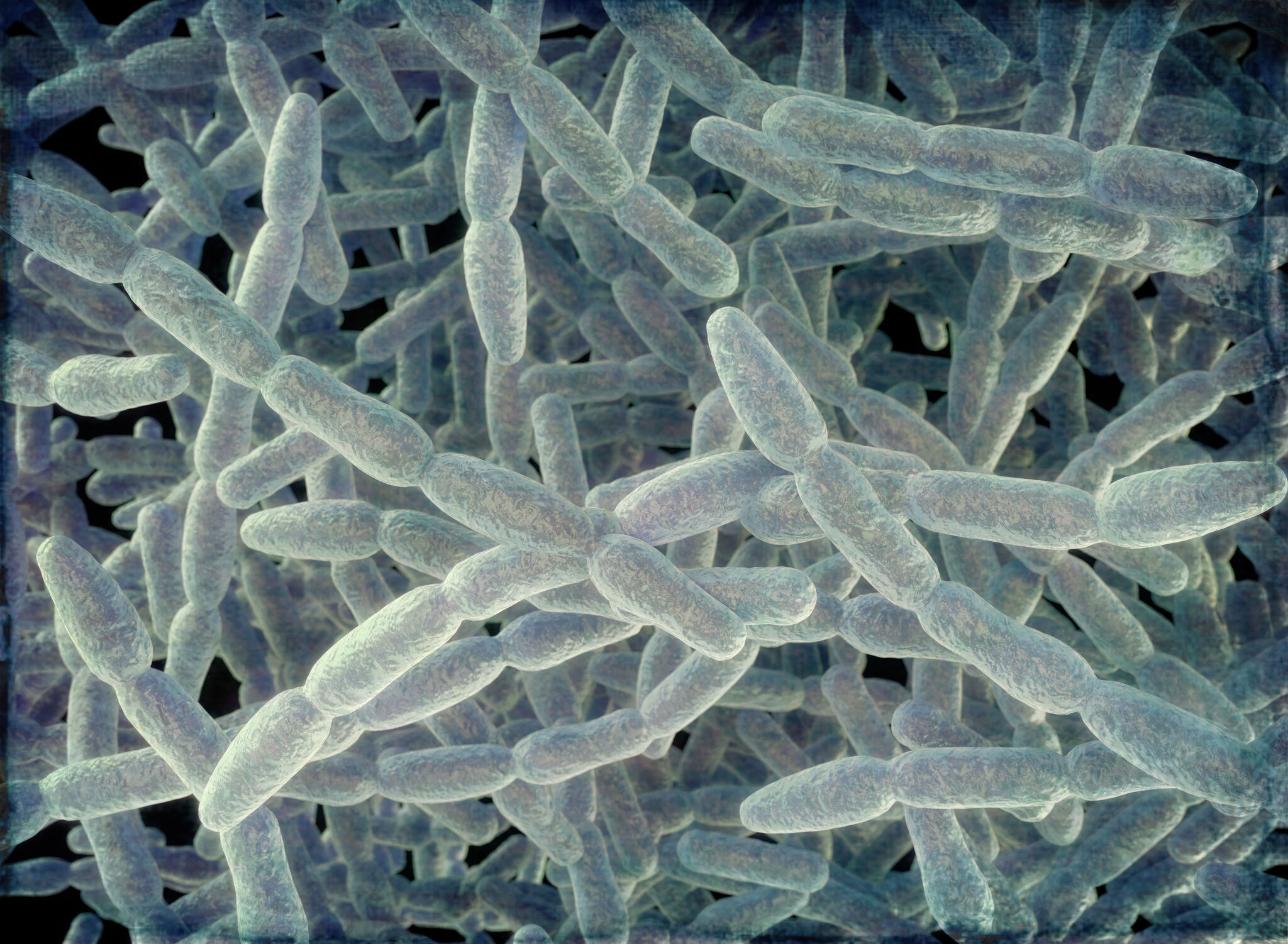 What is Legionnaires' disease? Here's what to know about the disease