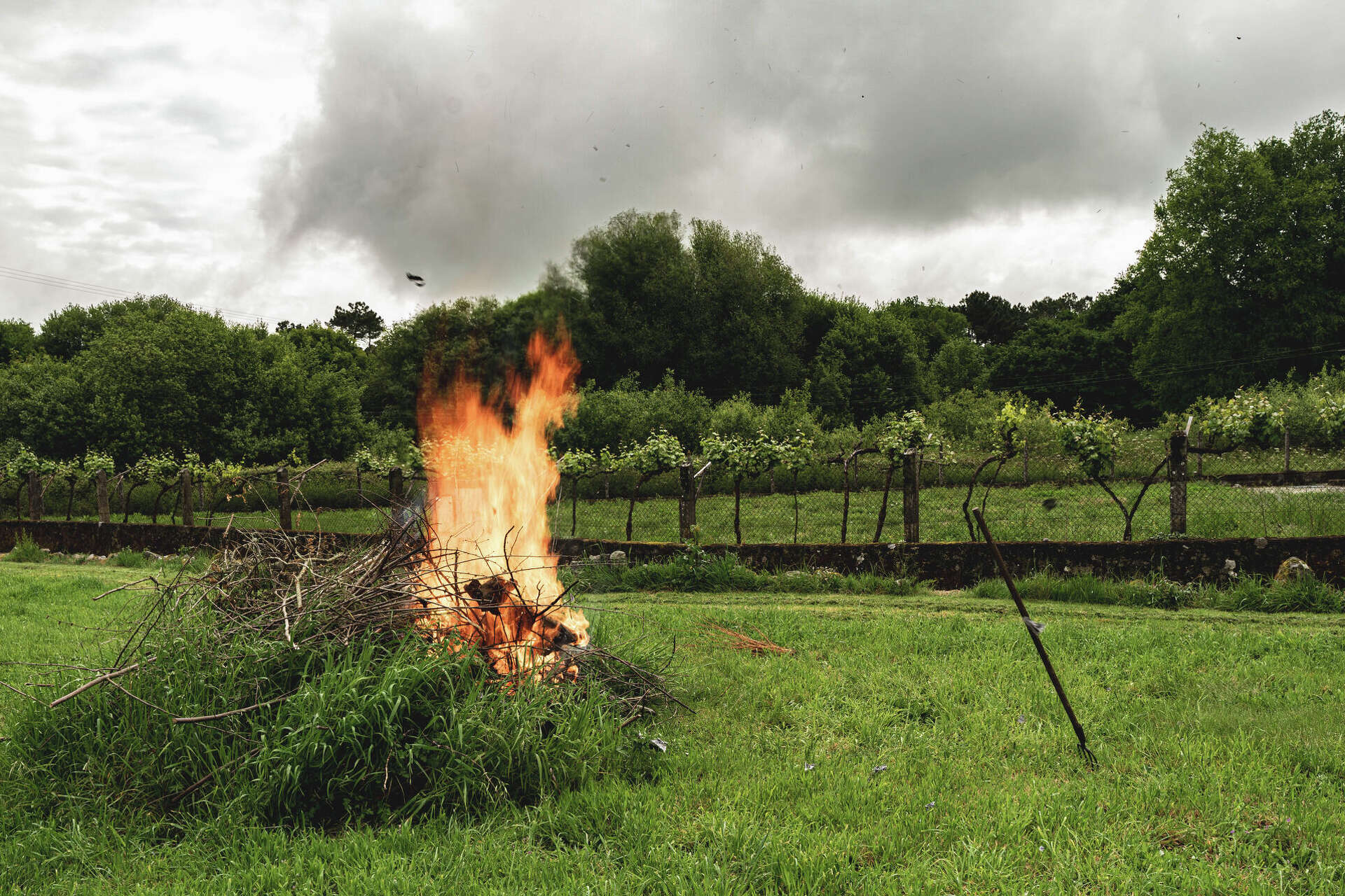 Wildfire smoke in MI: What residents need to know about burn permits