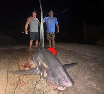 CT man's catch of huge shark near Fishers Island could be state record
