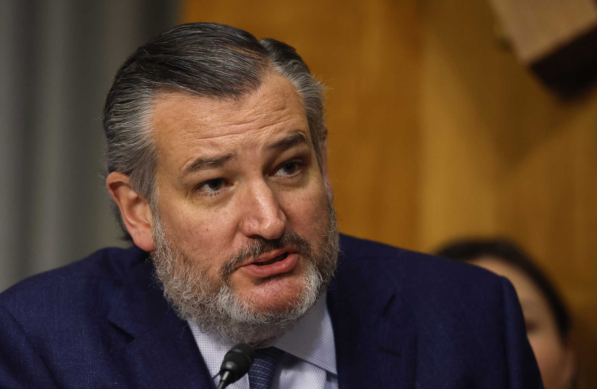 Cruz cautions Trump officials to tone down rhetoric on ICE shootings