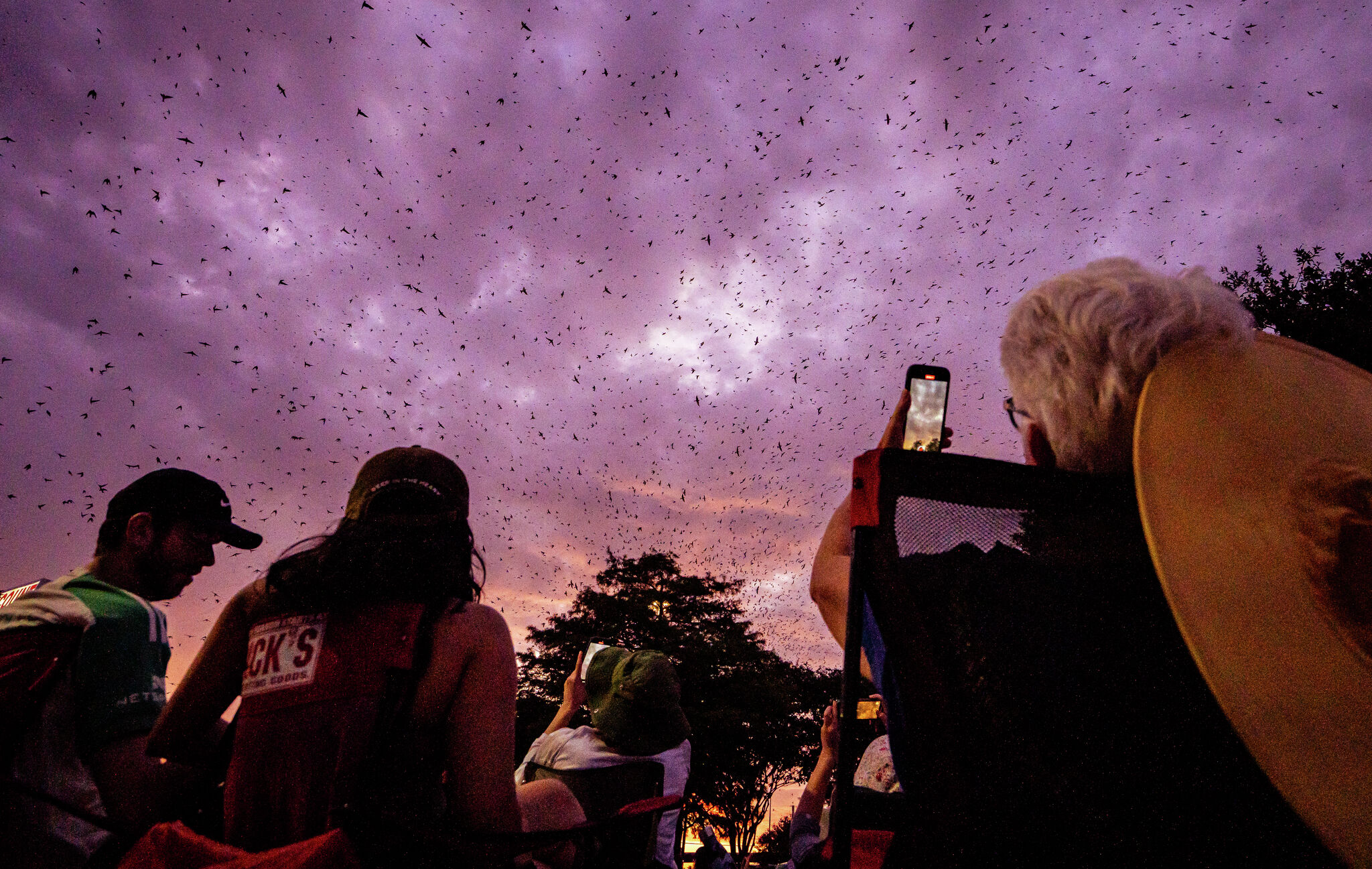 Suffering from cedar fever? See what to expect in Austin allergies