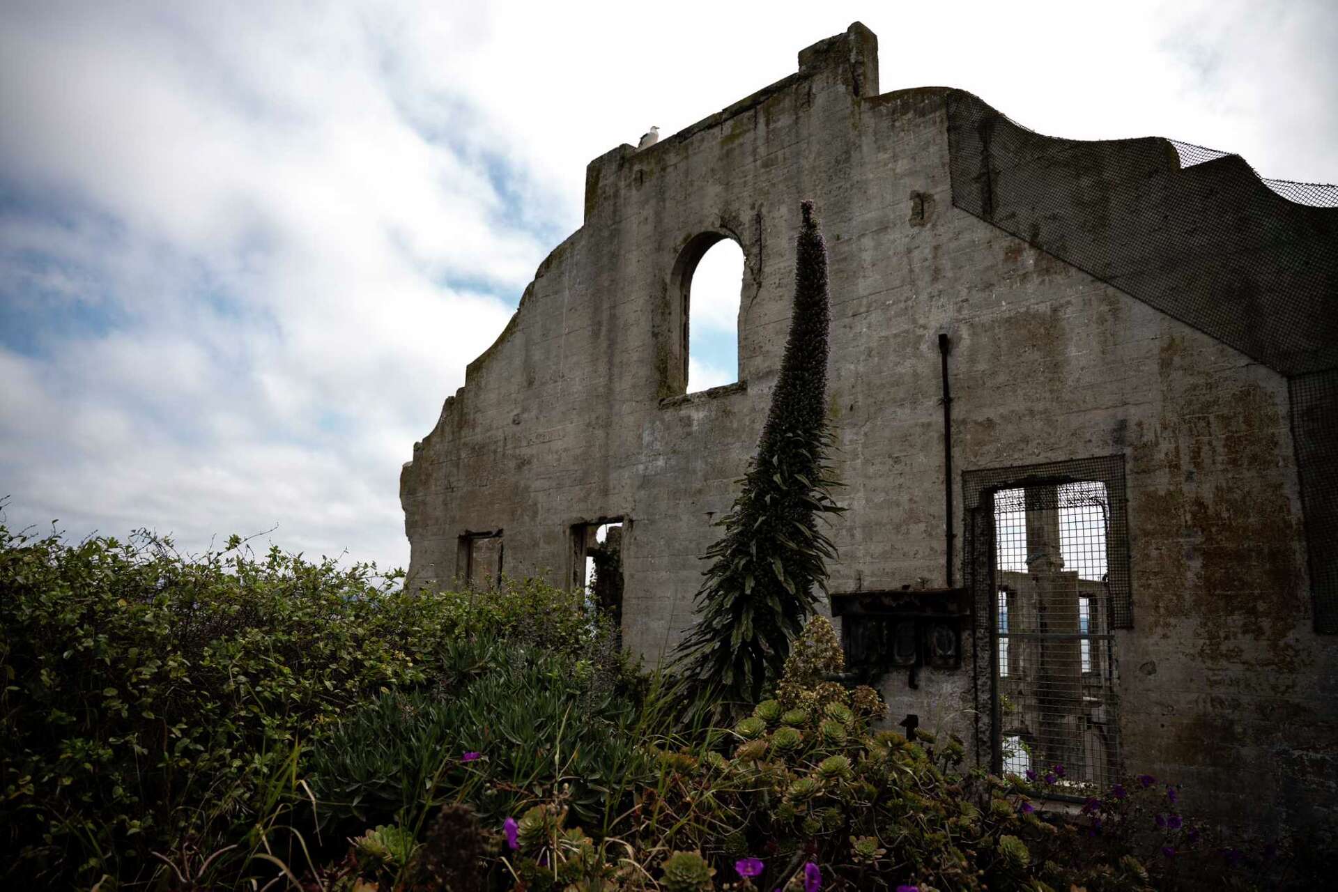 It took me 55 years to visit Alcatraz. Here’s what I learned