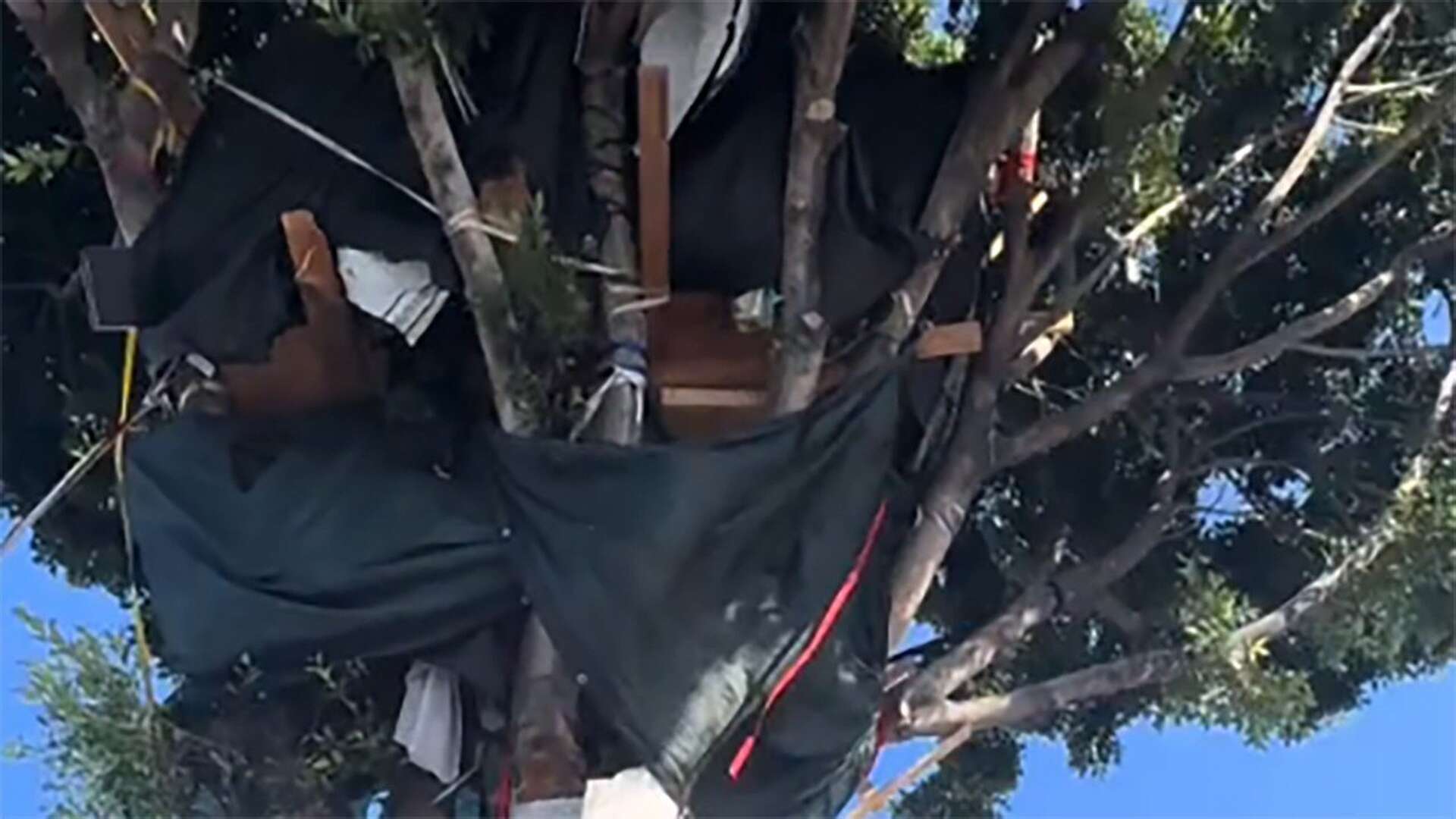 Homeless Man's Viral Three-Story Treehouse in Los Angeles Is Torn Down ...