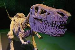 Photos: Lego 'Art of the Brick' exhibit opens in Schenectady