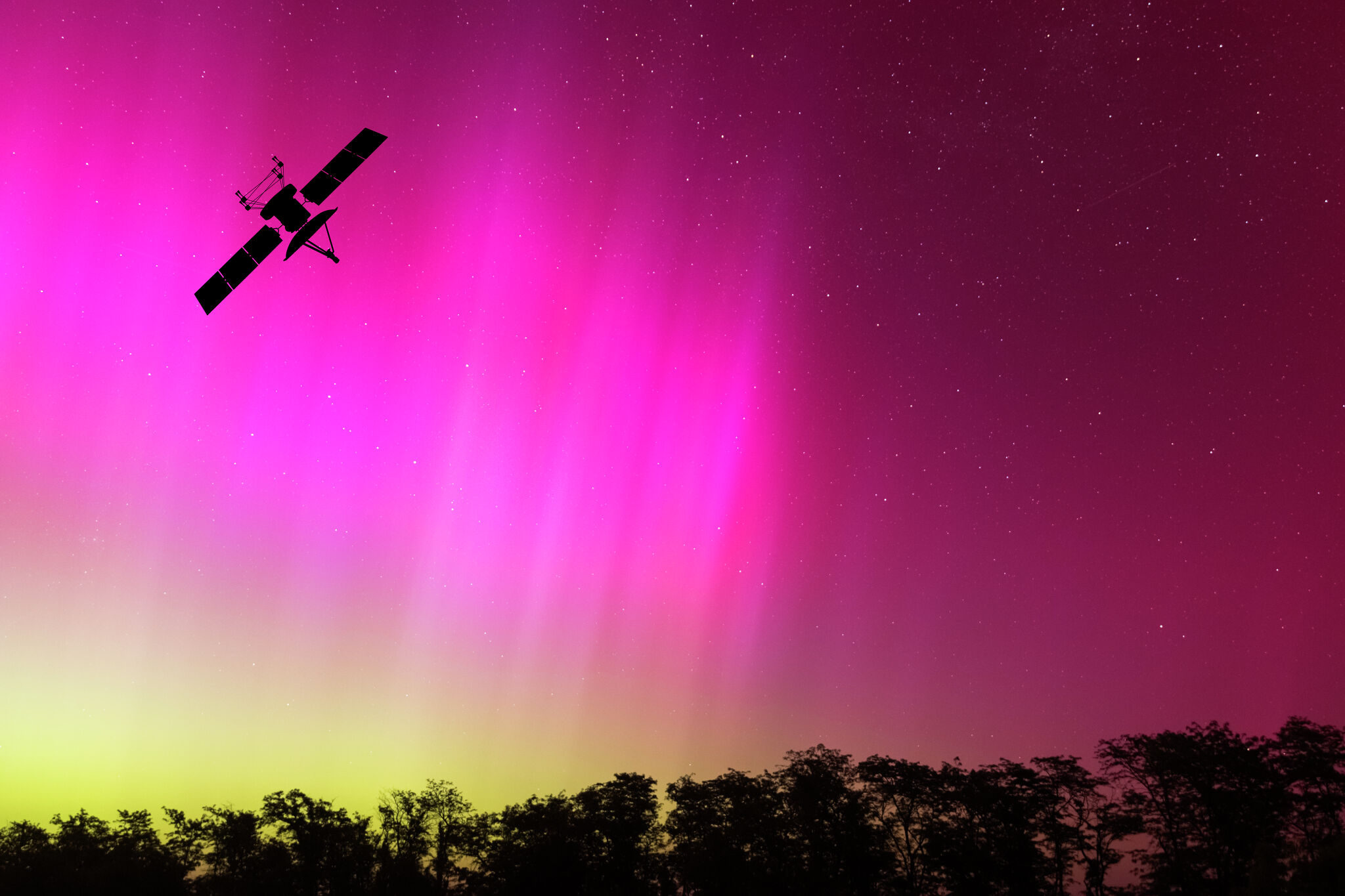 Professional anglers give advice on how to choose bait colors