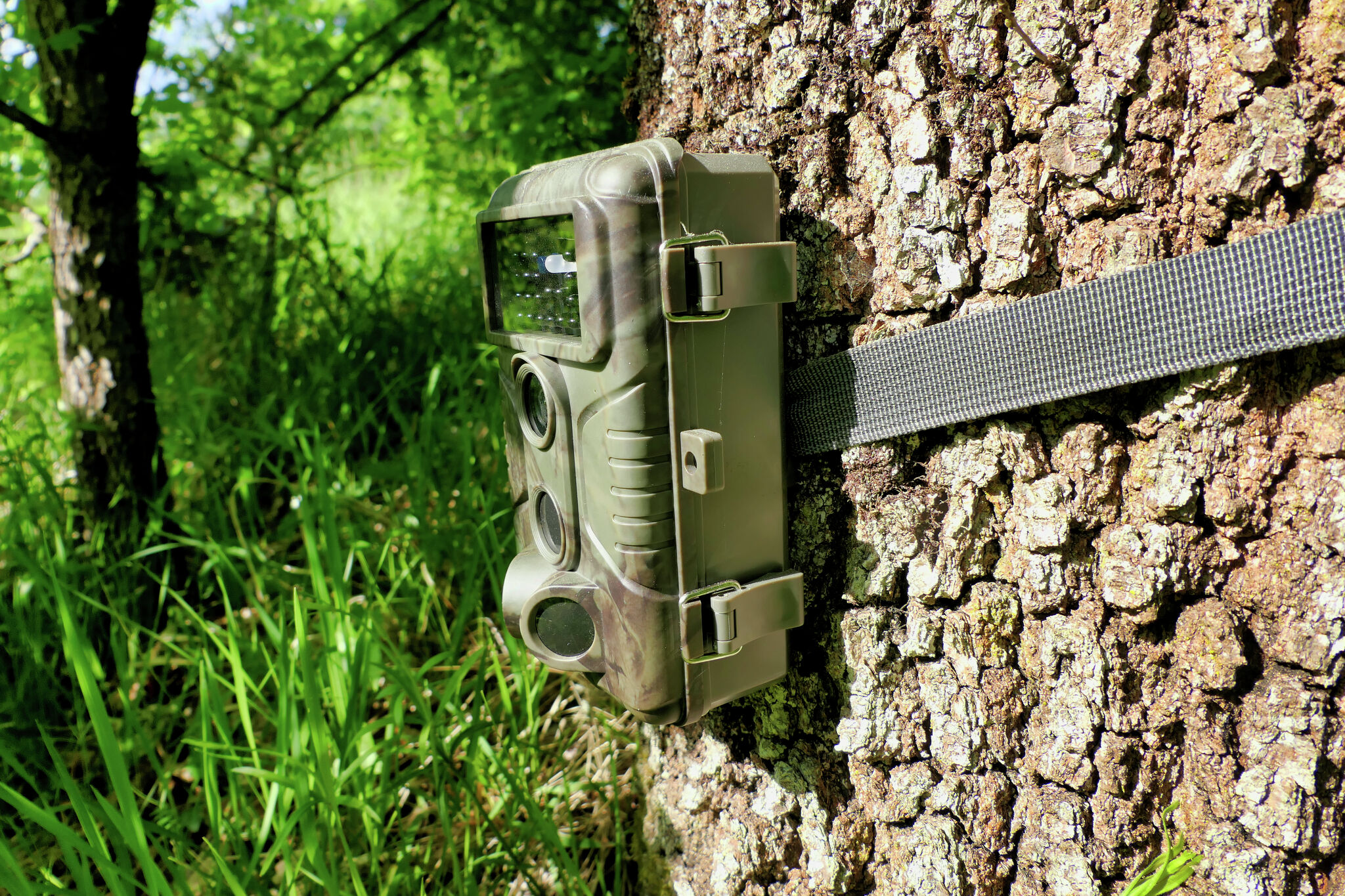 Tree stands, trail cameras cleared for Illinois deer hunting season