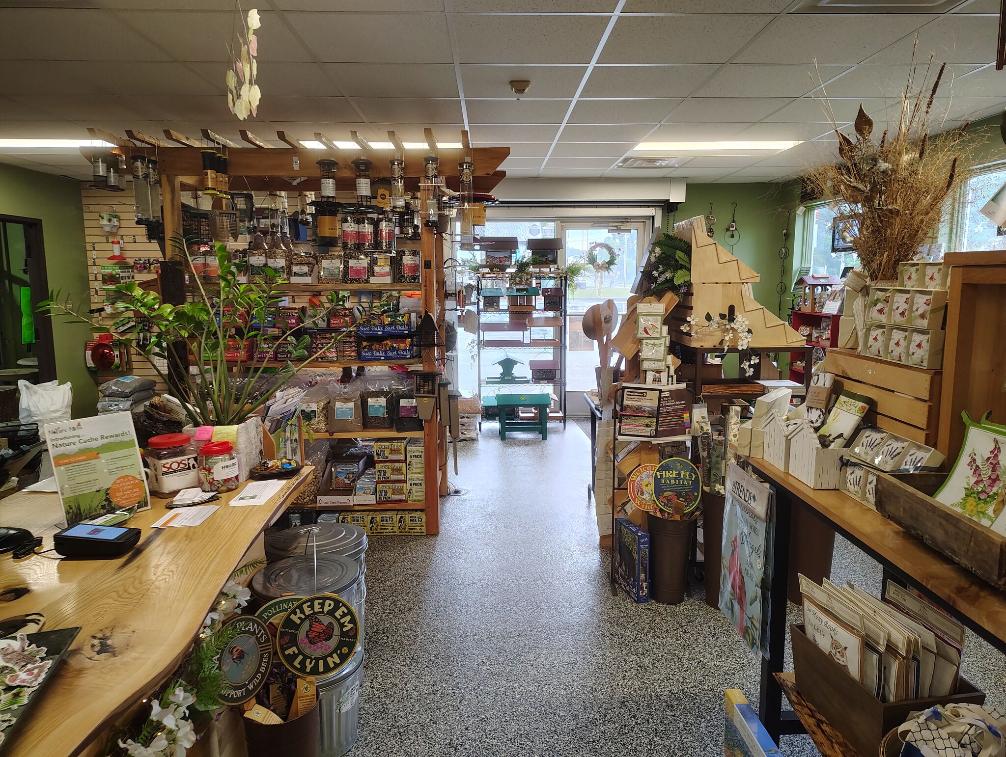 Business Matters: Nature Niche celebrates five years of garden help