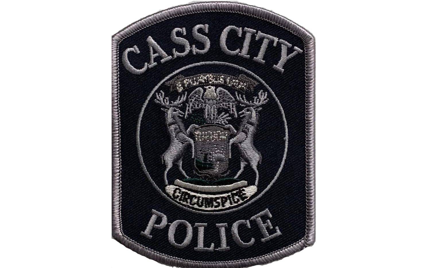 Cass City Logo