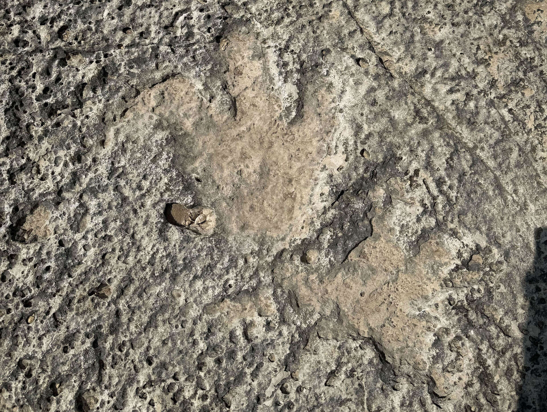 Dinosaur footprints found after flooding part of Texas' fossil history