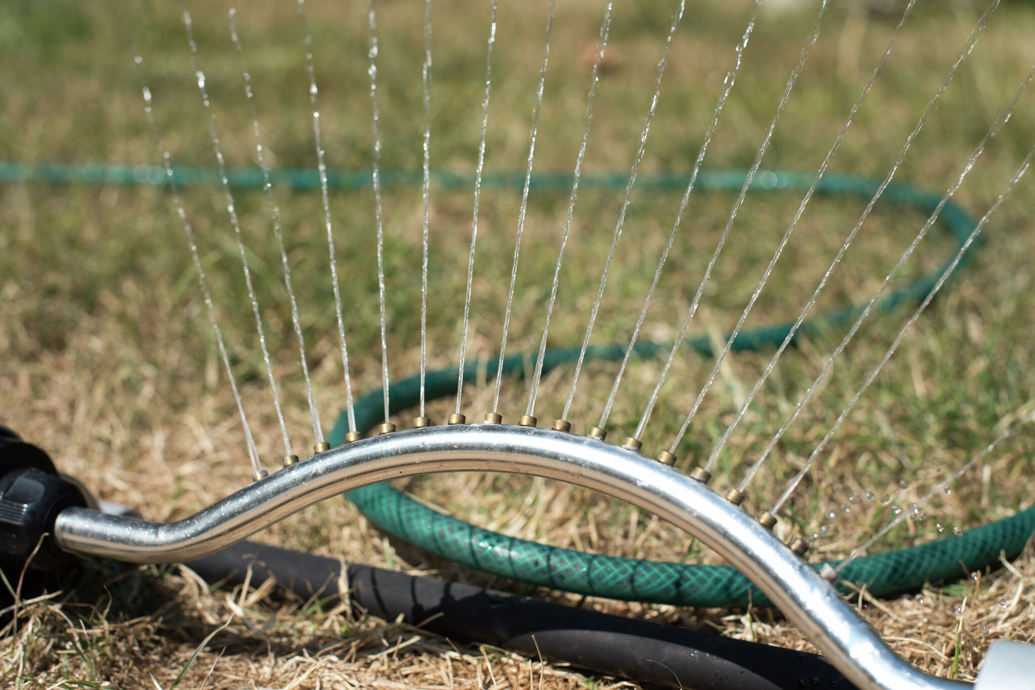 A complete guide to Waterloo Park, a lively TX green space