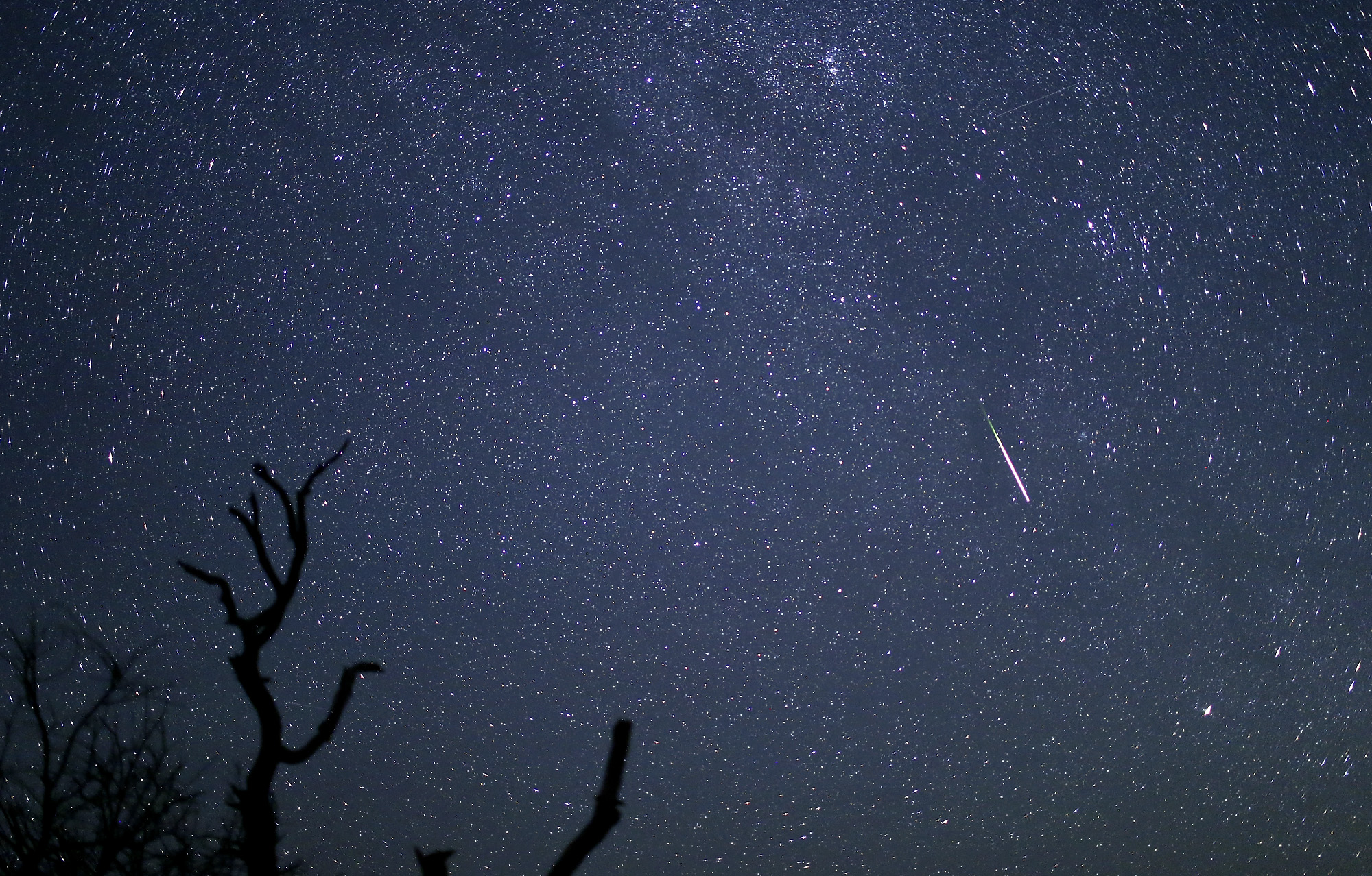 Can you see the Perseids in Texas? When to look for falling stars