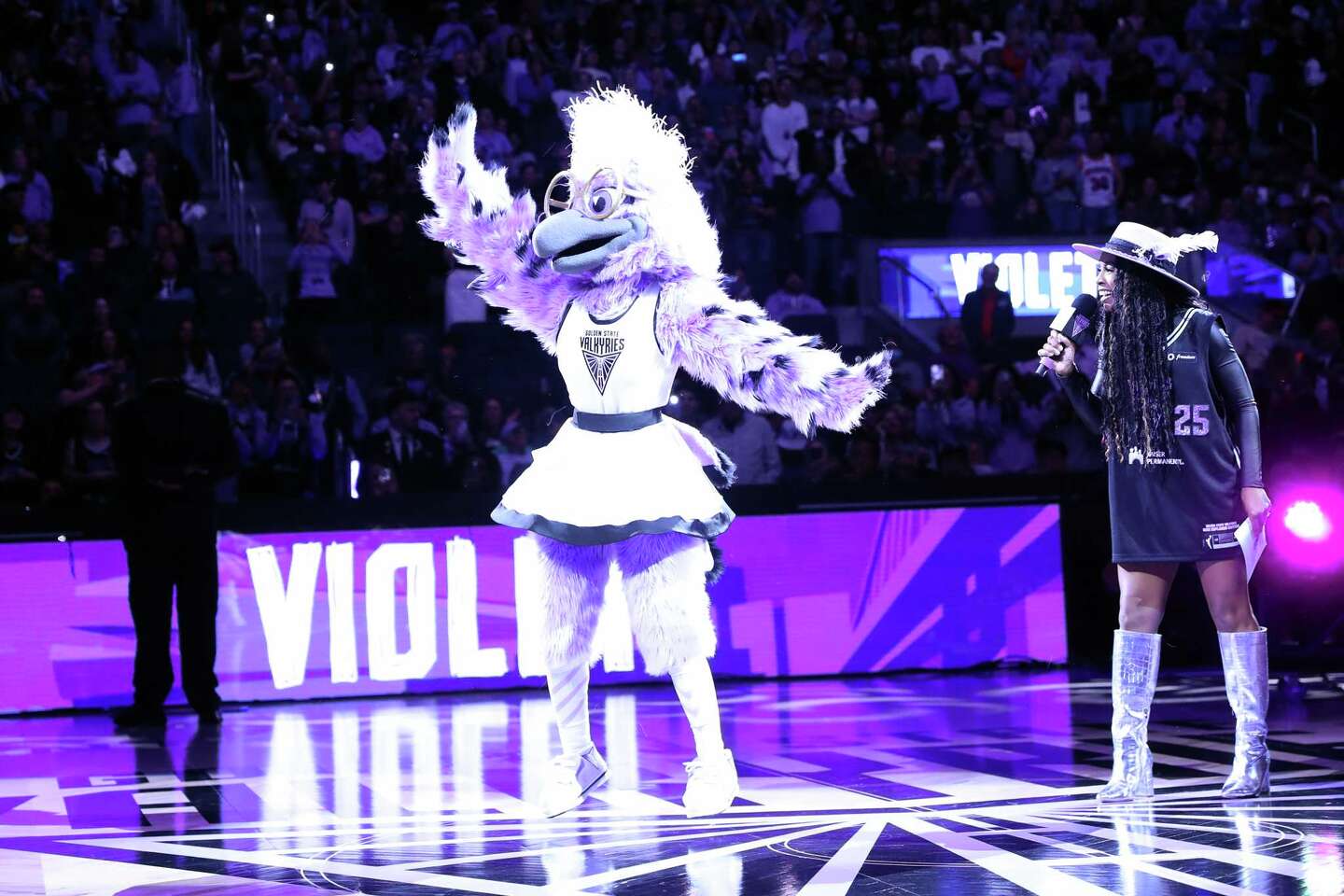 Quoth the Golden State Valkyries: WNBA team’s mascot is a raven