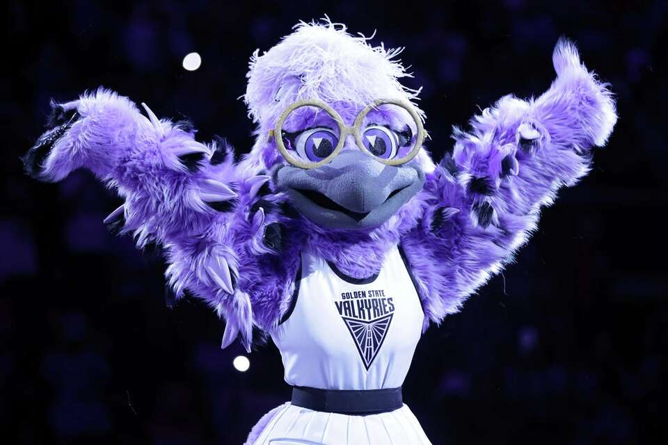 Quoth the Golden State Valkyries: WNBA team’s mascot is a raven