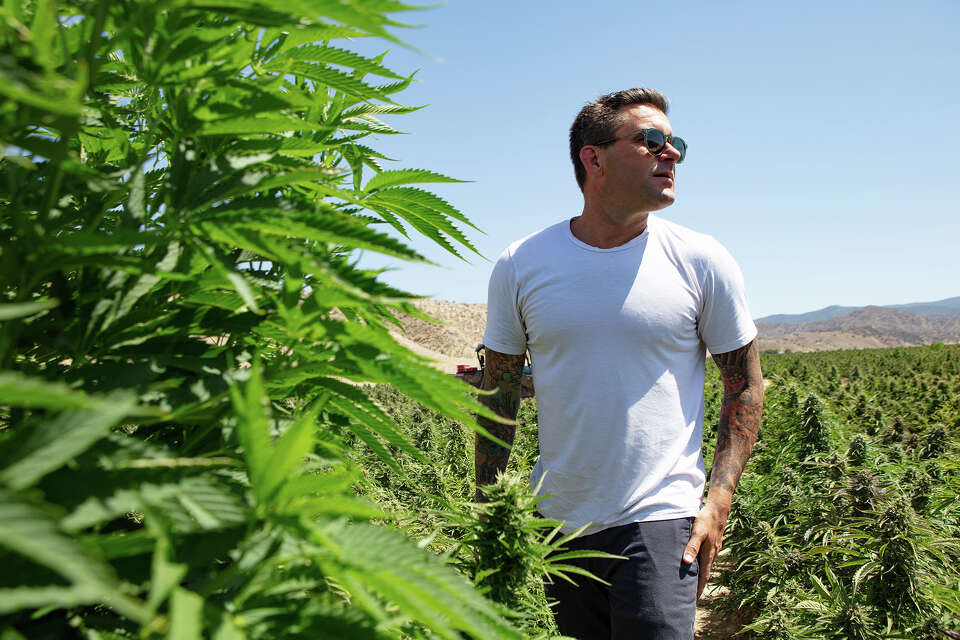 The man behind California's brand-new $15M weed ranch