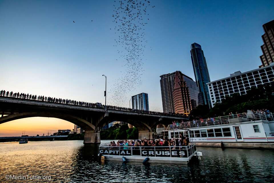 A first-timer's guide to enjoying Lady Bird Lake in Austin
